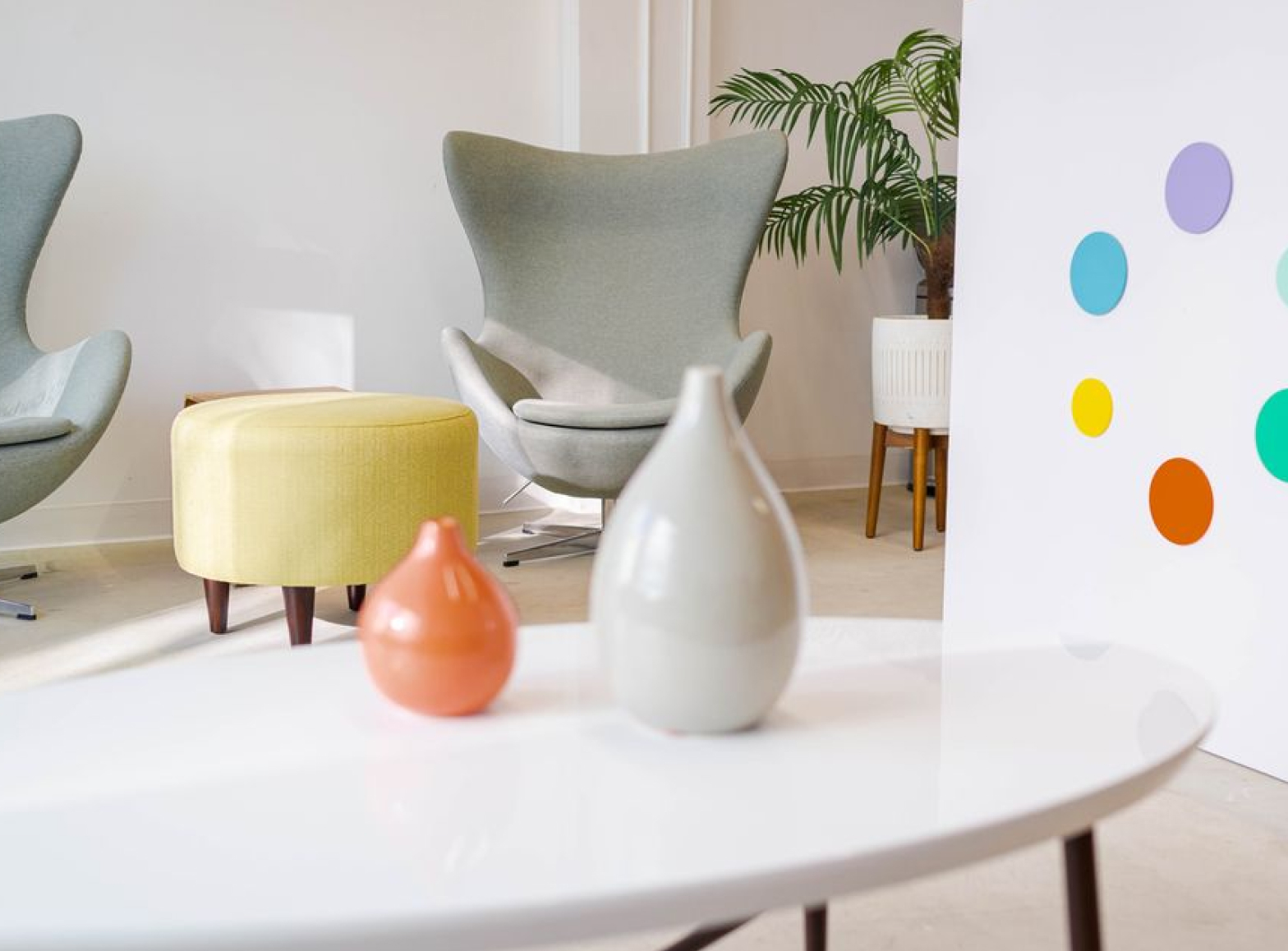 New Patient - Establish Care